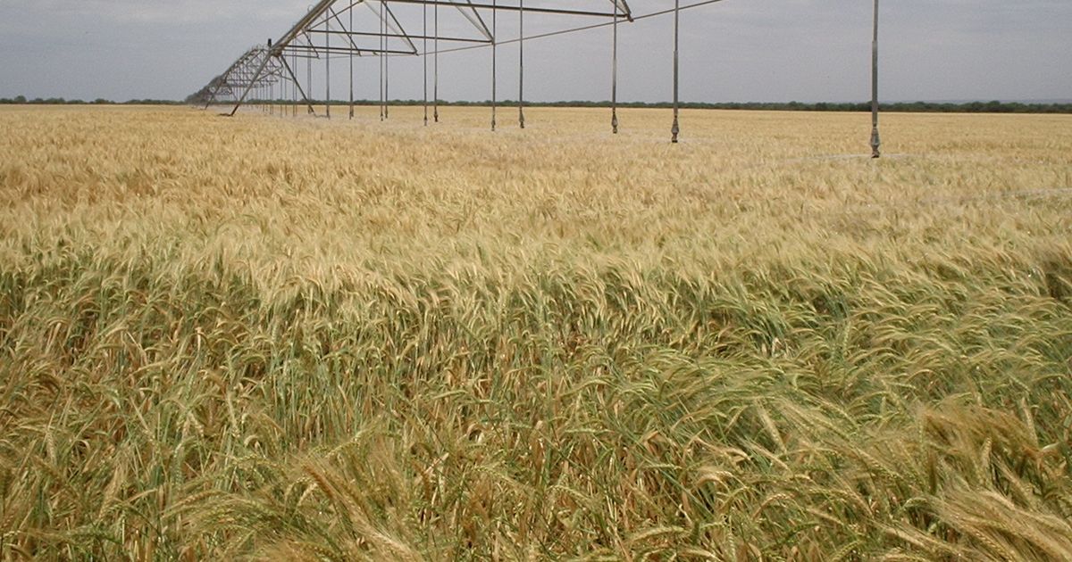 Riego: una herramienta para crecer