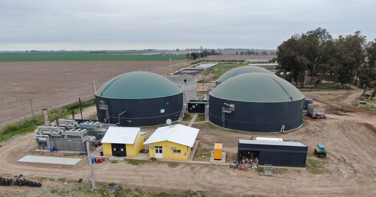 Biodigestores: hacia un modelo de producción sostenible