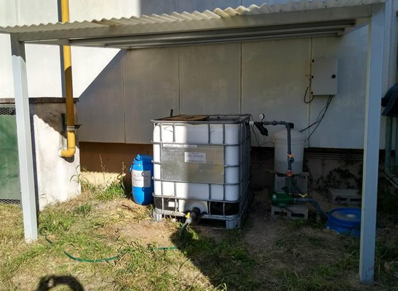 Camas biológicas: ¿Cuán efectivas son?