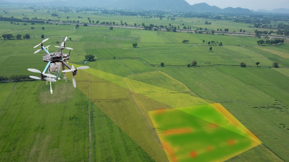 Monitoreo Satelital de Vegetación