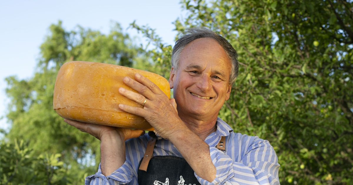Producción de quesos: Fermier o el desafío de desarrollar una cultura ...